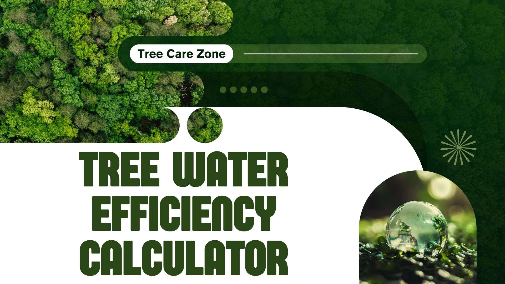 Tree Water Efficiency Calculator for Optimal Tree Care