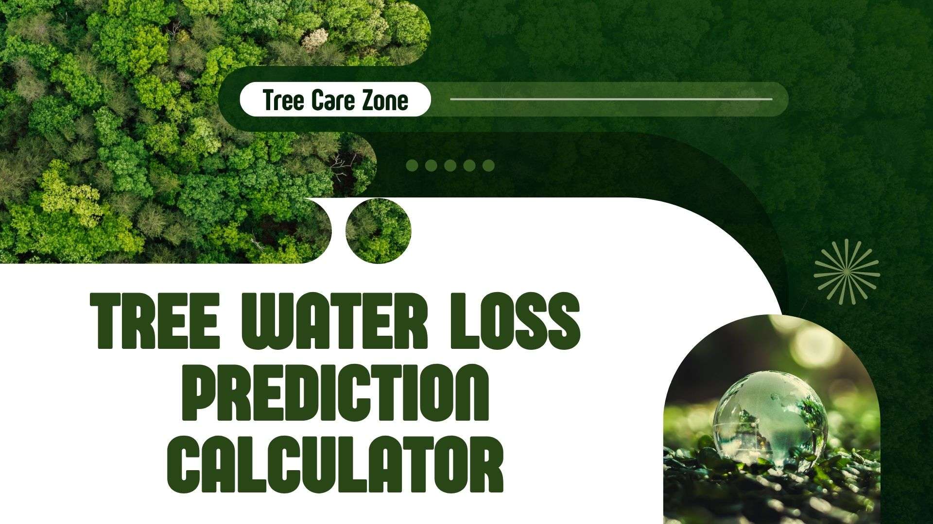 Tree Water Loss Prediction Calculator Tool