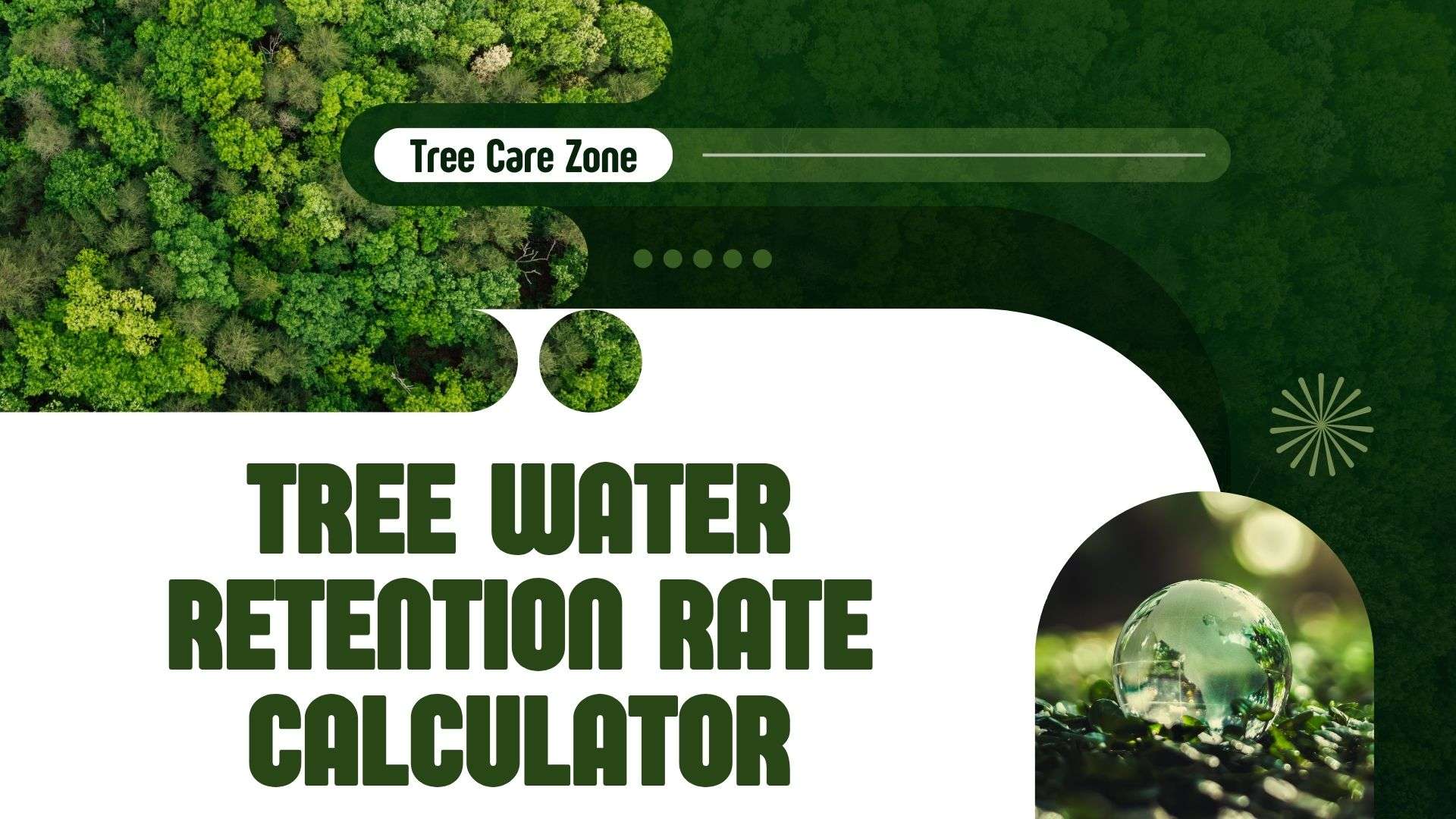 Tree Water Retention Rate Calculator for Trees