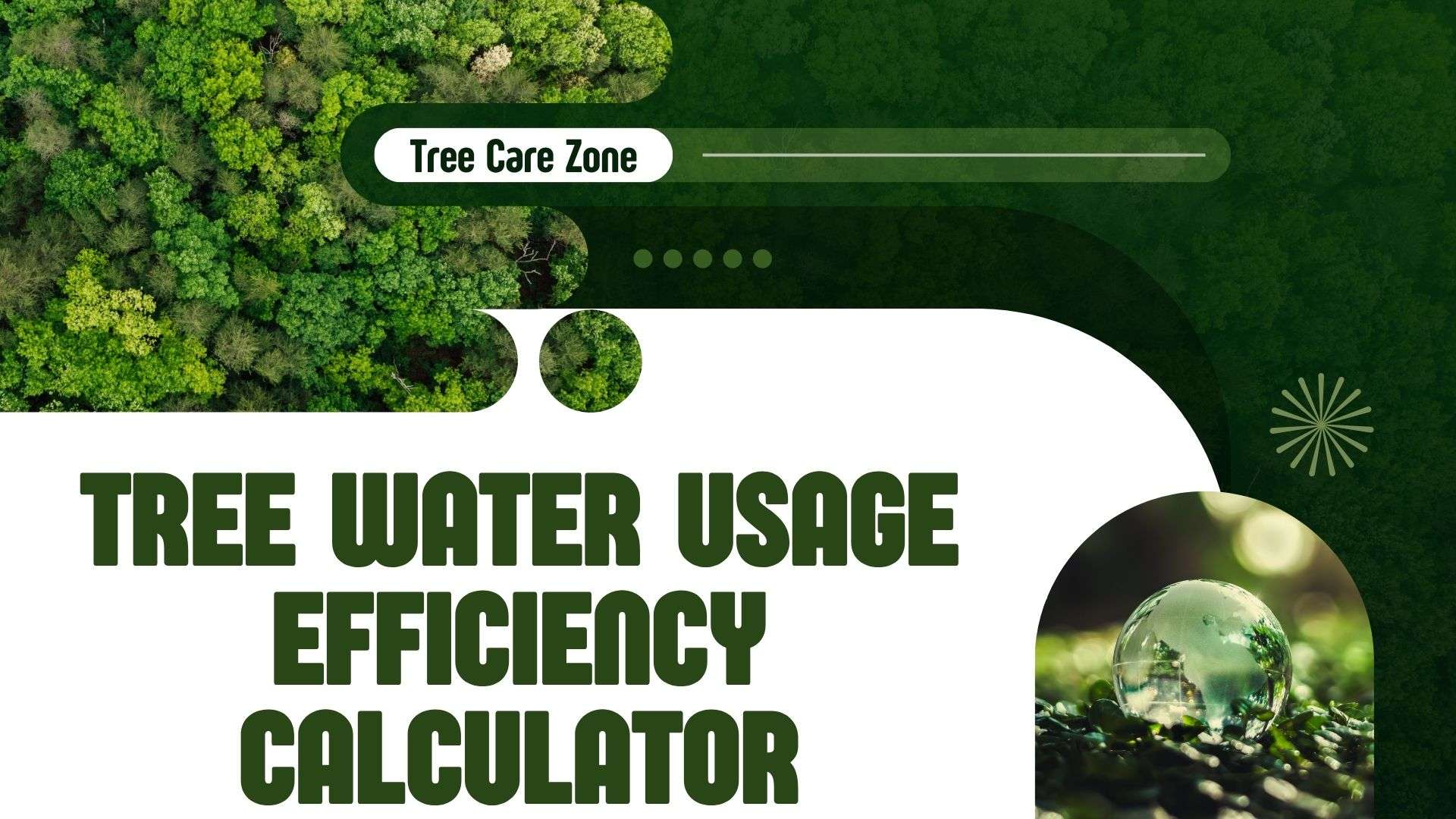 Tree Water Usage Efficiency Calculator Tool