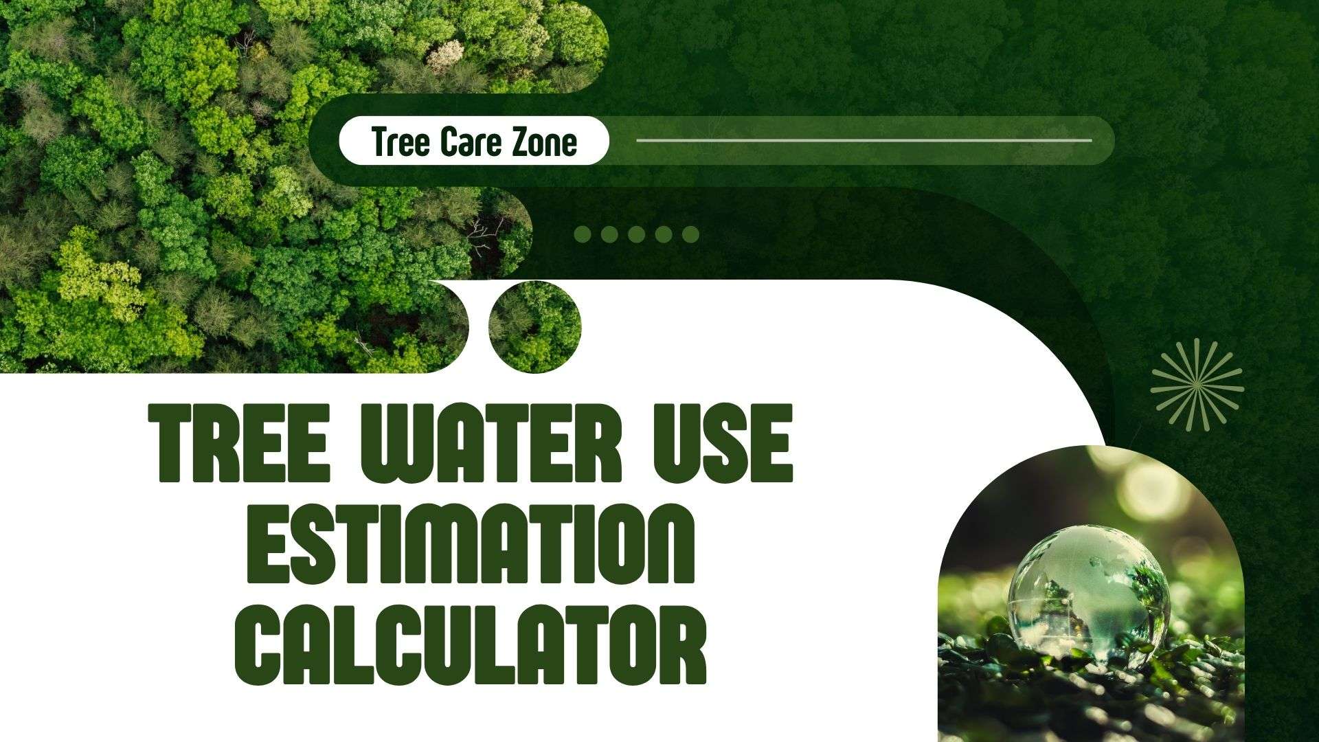 Tree Water Use Estimation Calculator for Trees