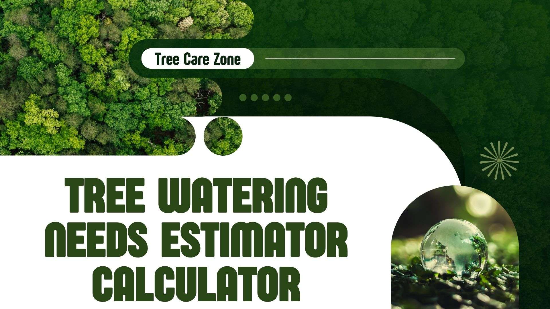 Tree Watering Needs Estimator Calculator Tool