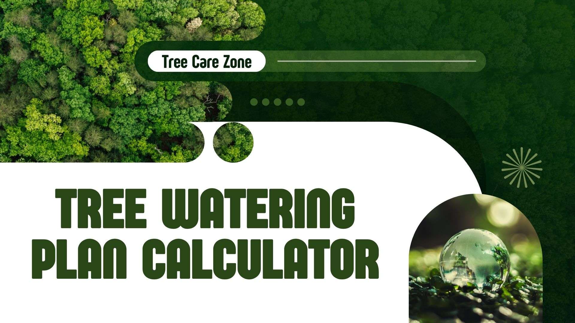 Tree Watering Plan Calculator for Tree Care