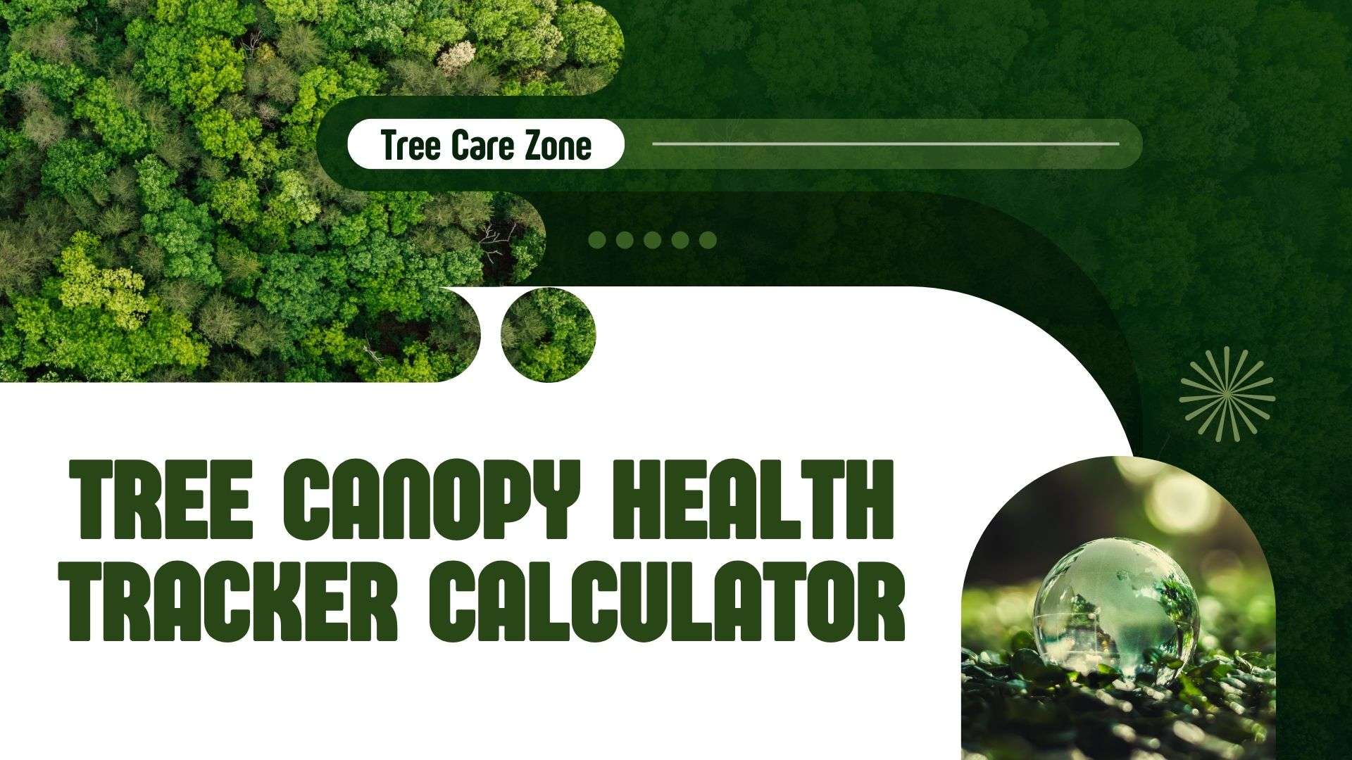 Tree Canopy Health Tracker Calculator Guide