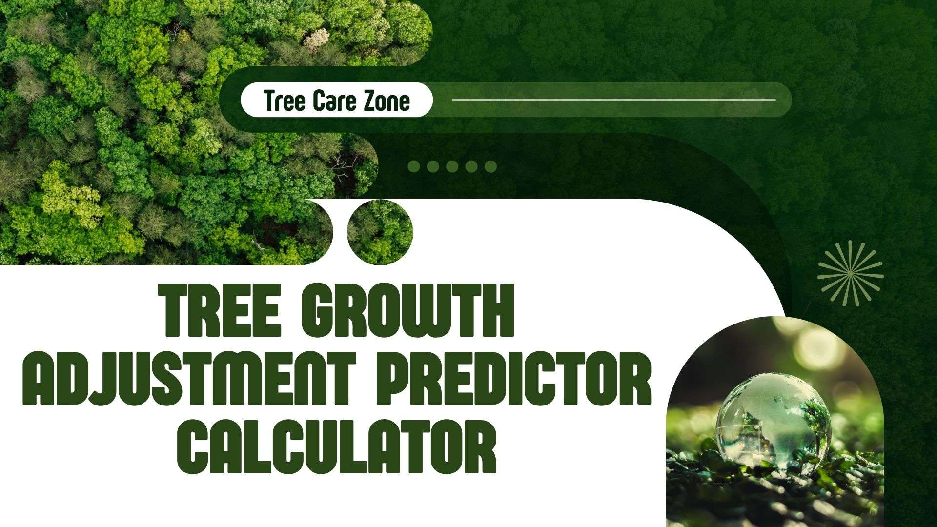 Tree Growth Adjustment Predictor Calculator Tool