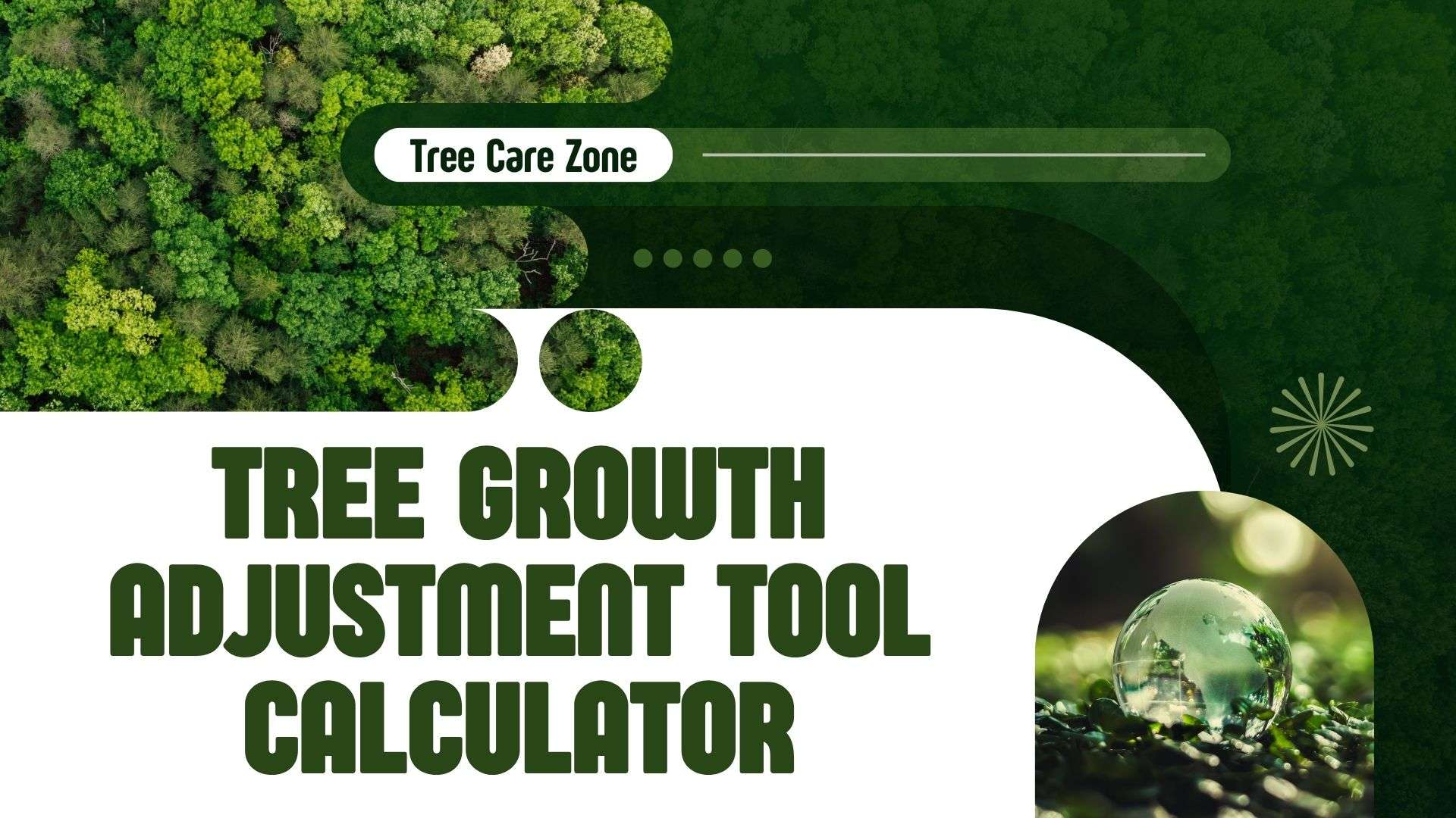Tree Growth Adjustment Tool Calculator for Trees