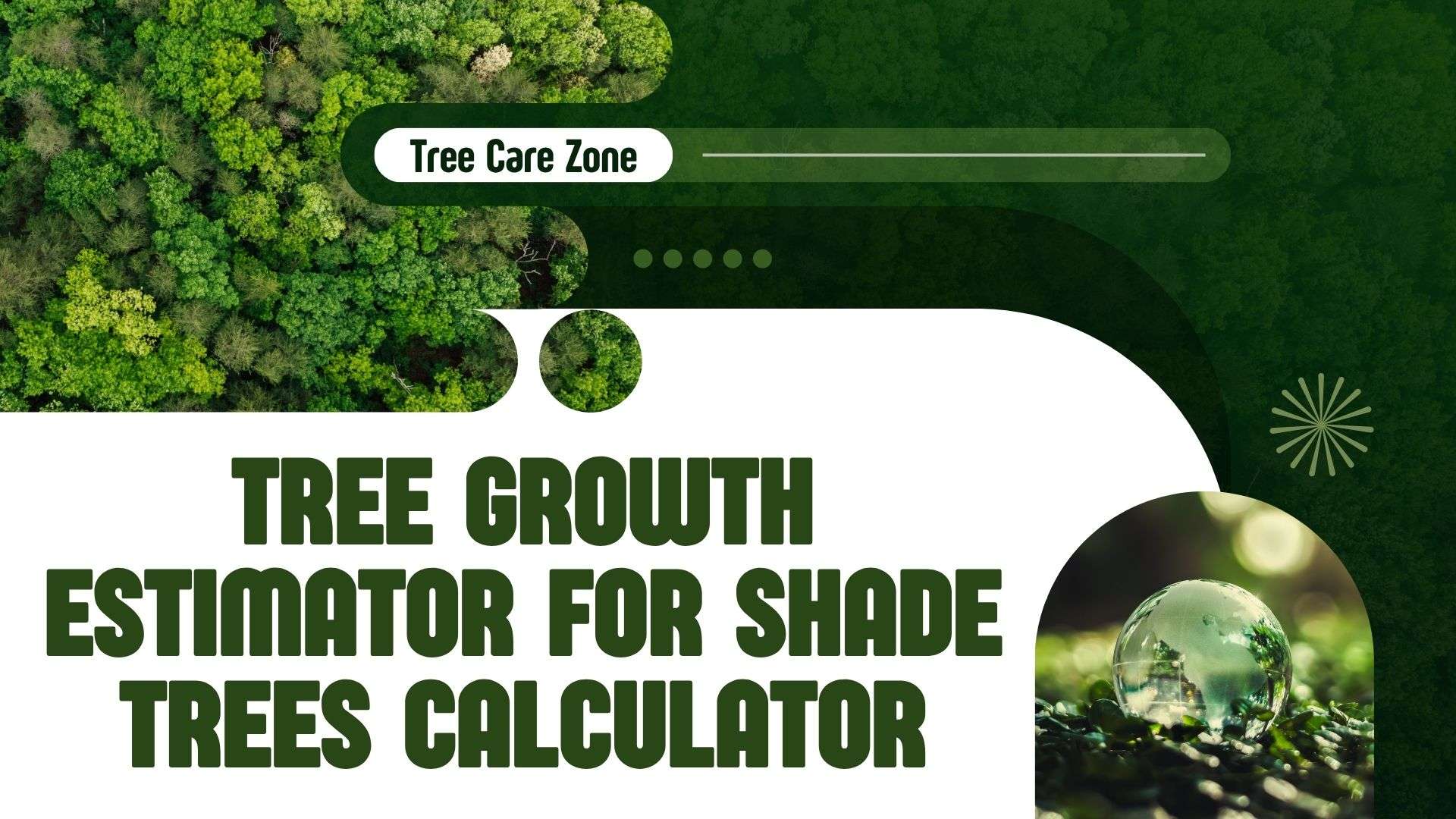 Tree Growth Estimator for Shade Trees Calculator Guide