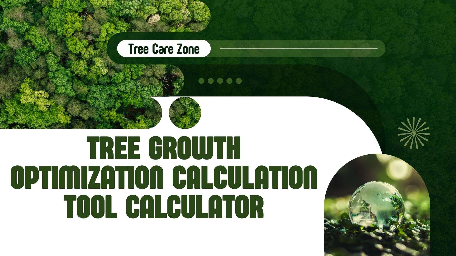 Tree Growth Optimization Calculation Tool Calculator Tips