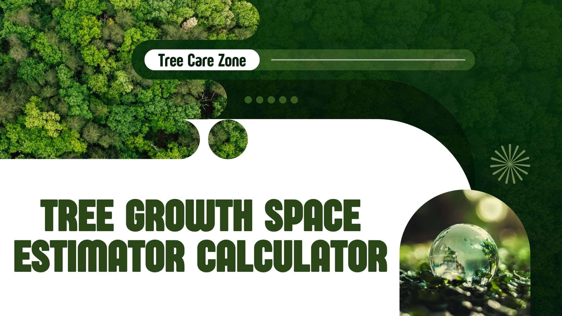 Tree Growth Space Estimator Calculator for Trees