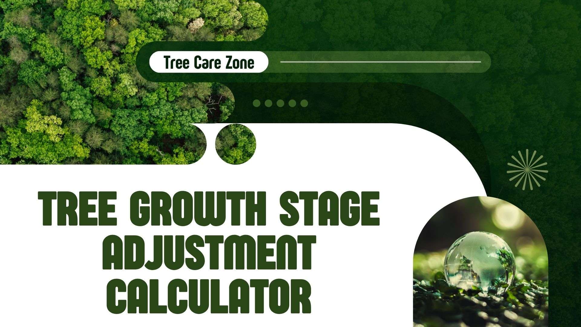 Tree Growth Stage Adjustment Calculator Tool