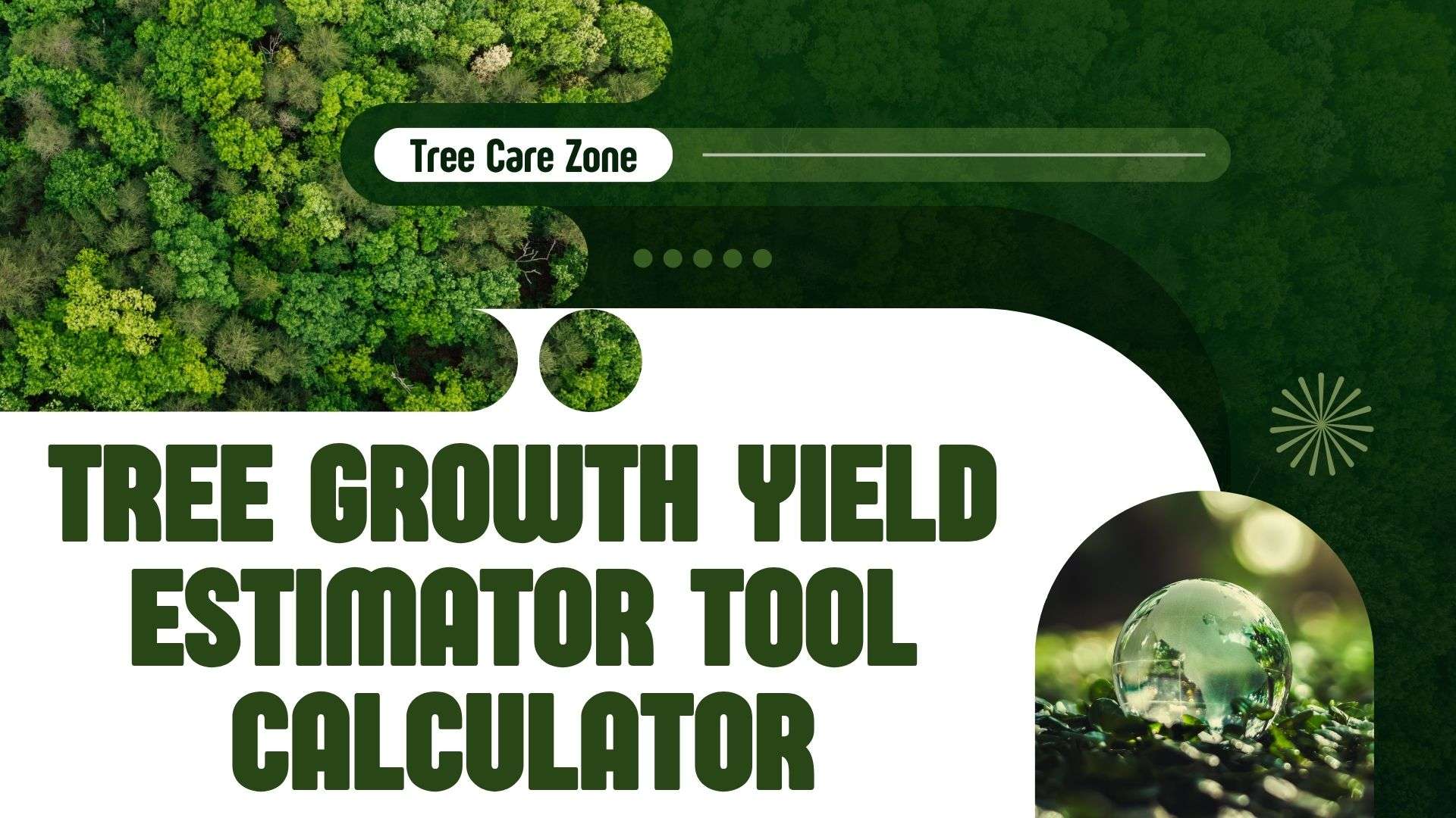 Tree Growth Yield Estimator Tool Calculator Guide
