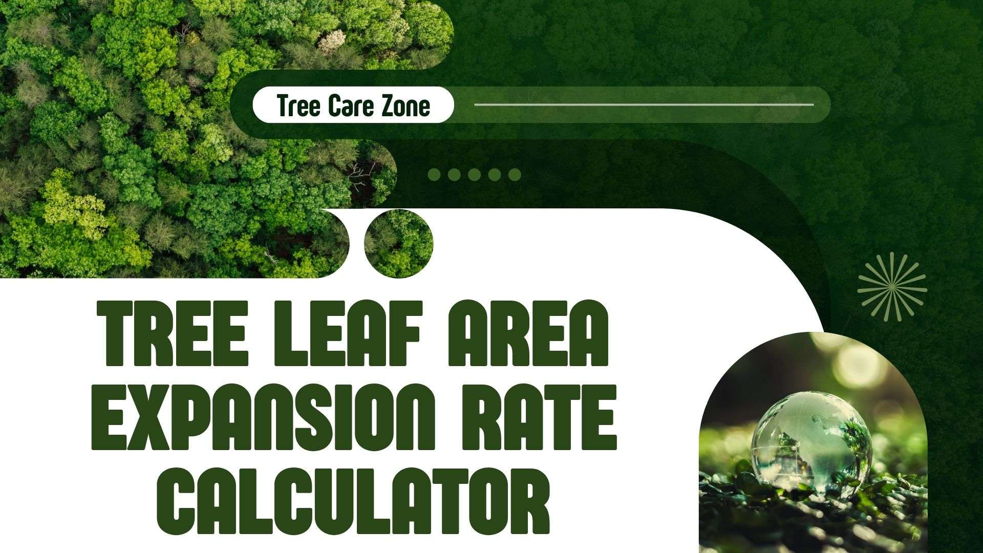 Tree Leaf Area Expansion Rate Calculator Tool