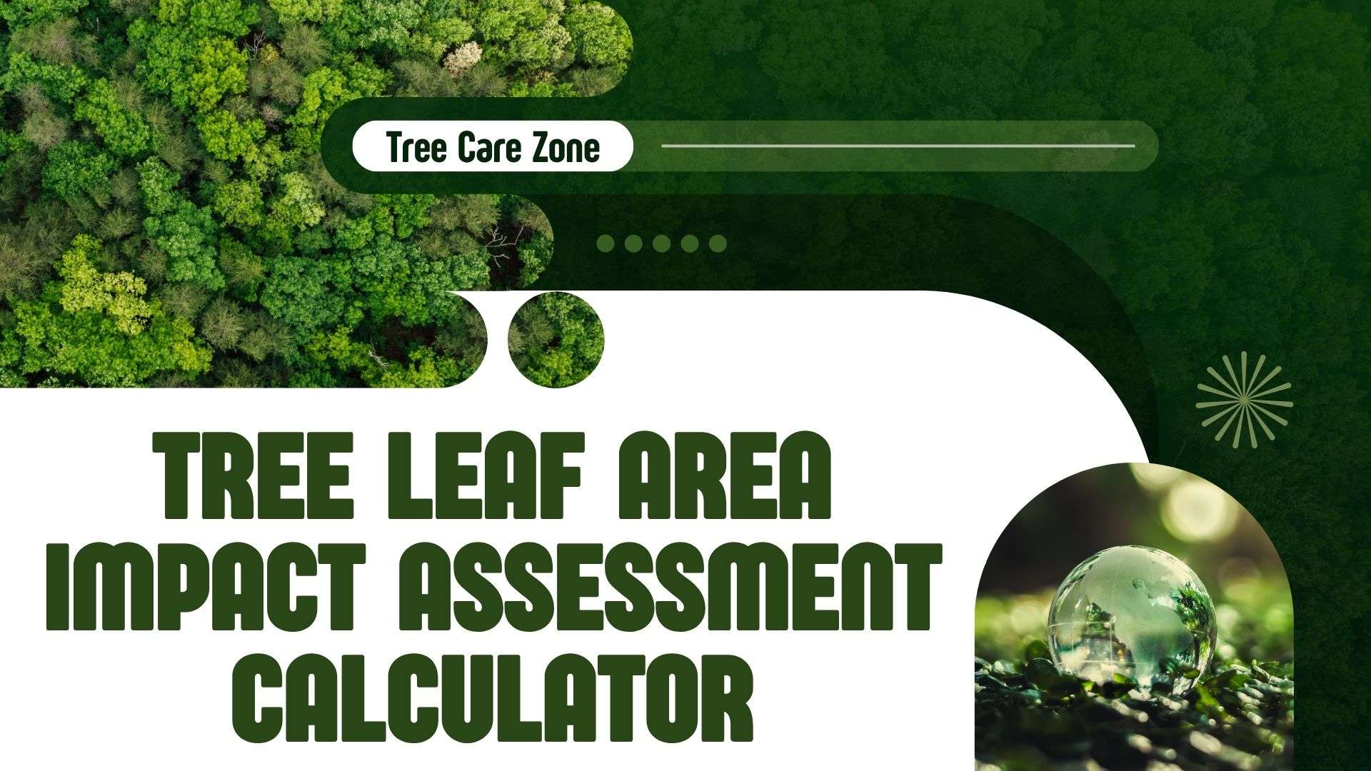 Tree Leaf Area Impact Assessment Calculator Guide