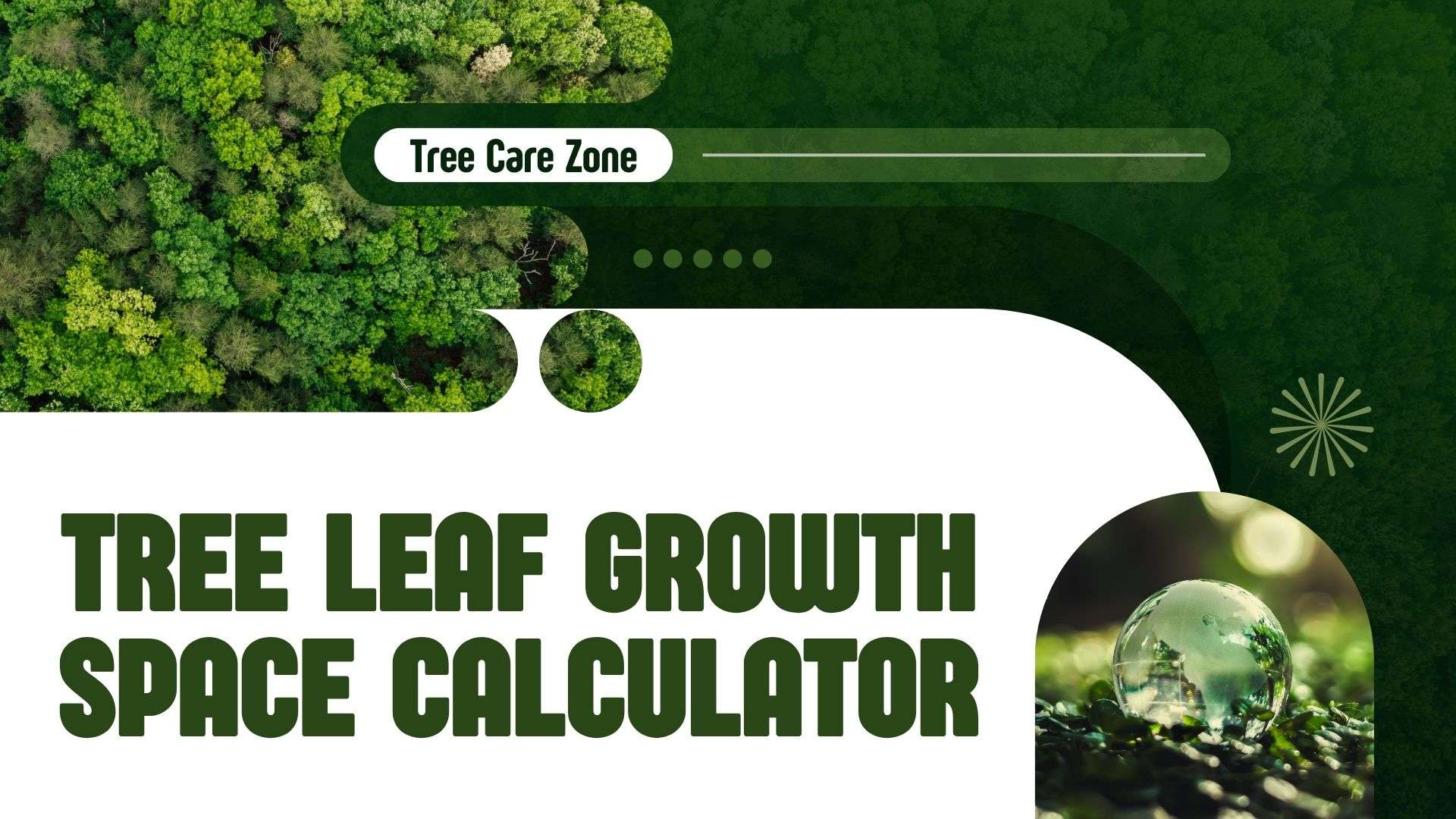 Tree Leaf Growth Space Calculator for Trees