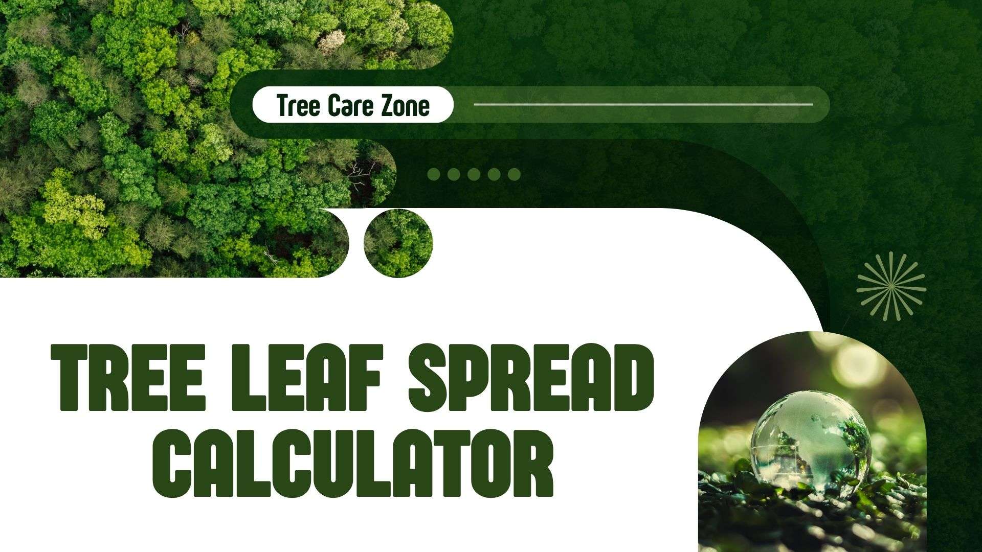 Tree Leaf Spread Calculator for Tree Care