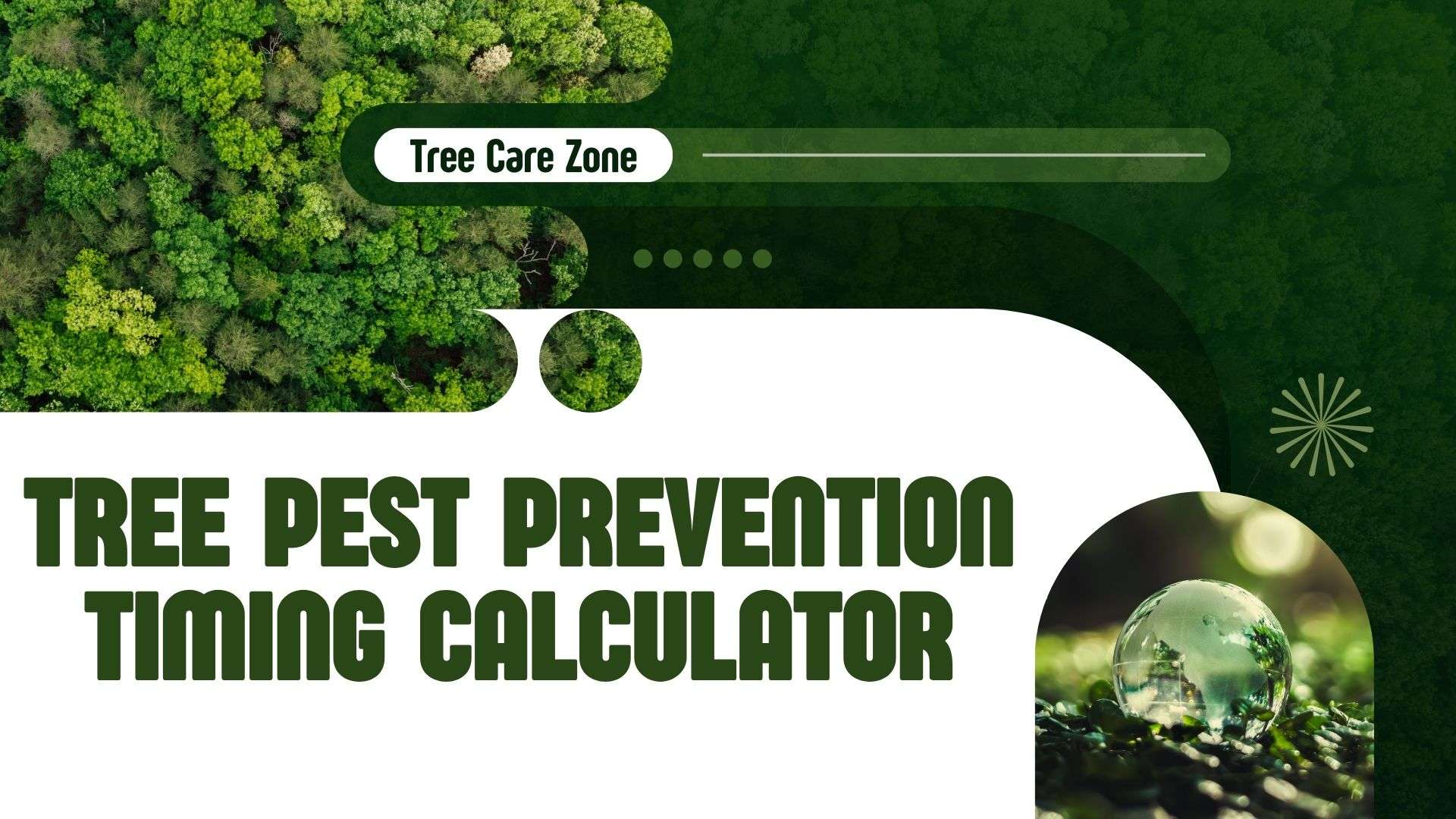 Tree Pest Prevention Timing Calculator for Trees