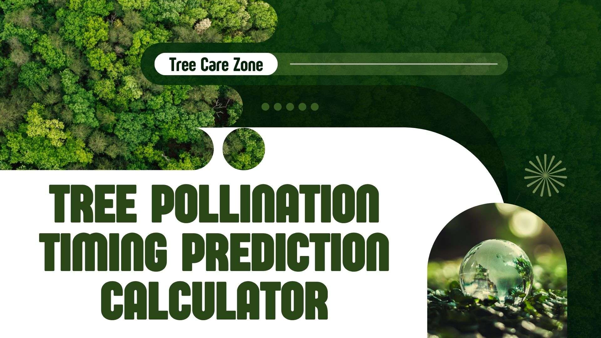 Tree Pollination Timing Prediction Calculator Guide