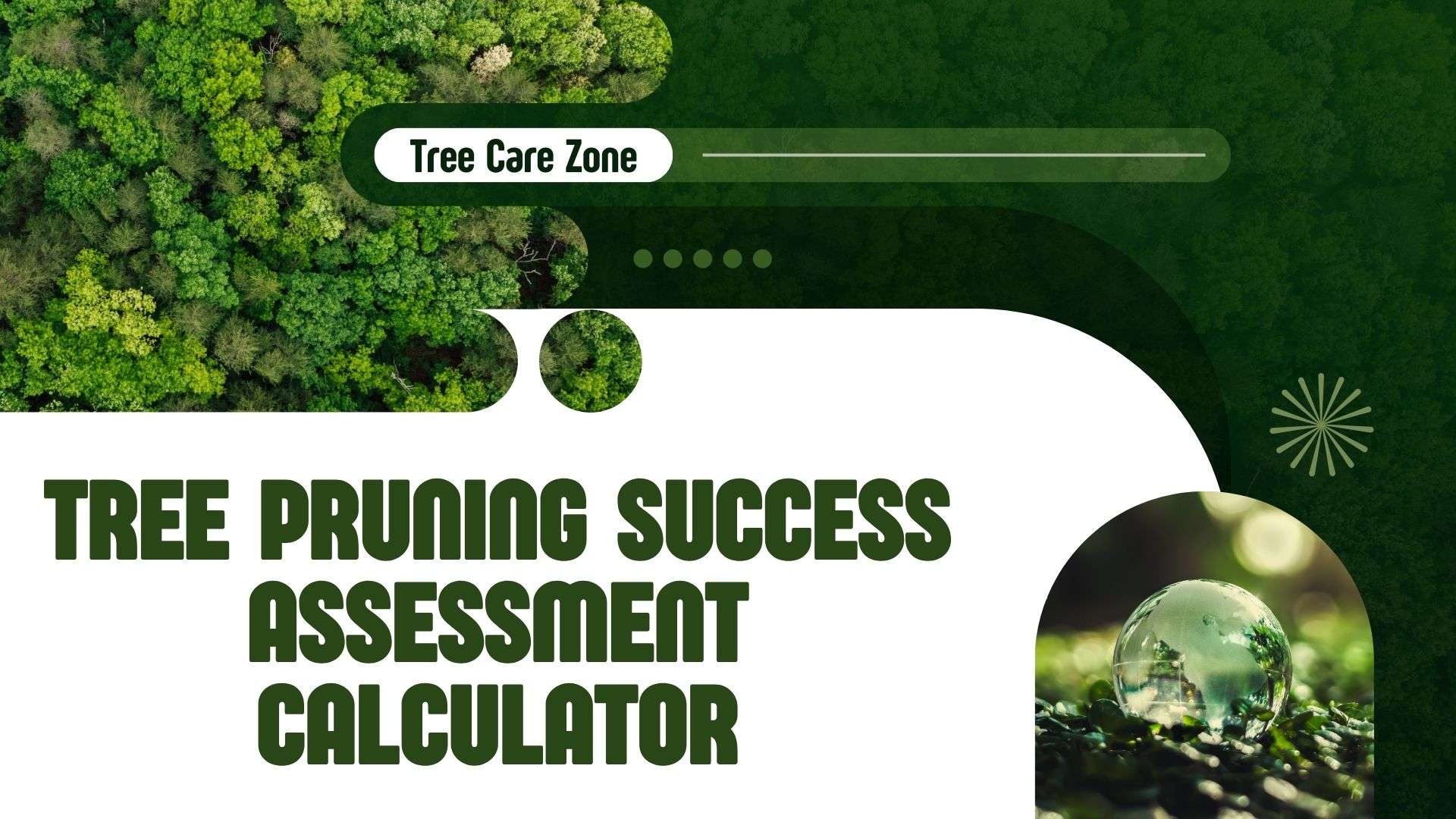 Tree Pruning Success Assessment Calculator for Trees