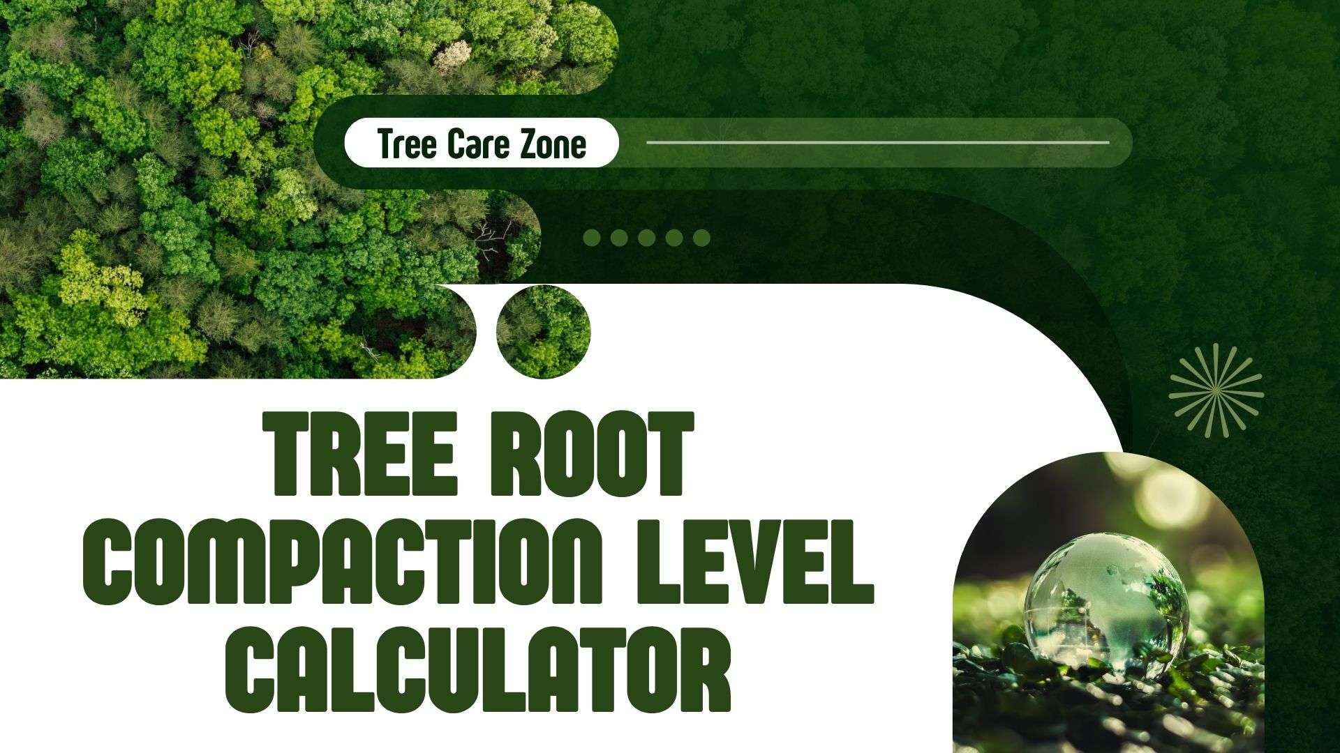 Tree Root Compaction Level Calculator for Trees
