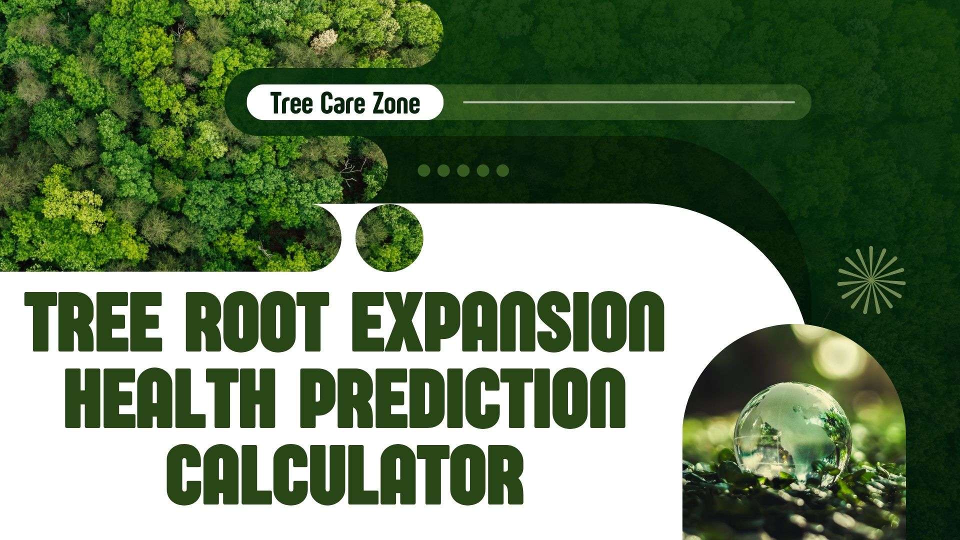 Tree Root Expansion Health Prediction Calculator Guide
