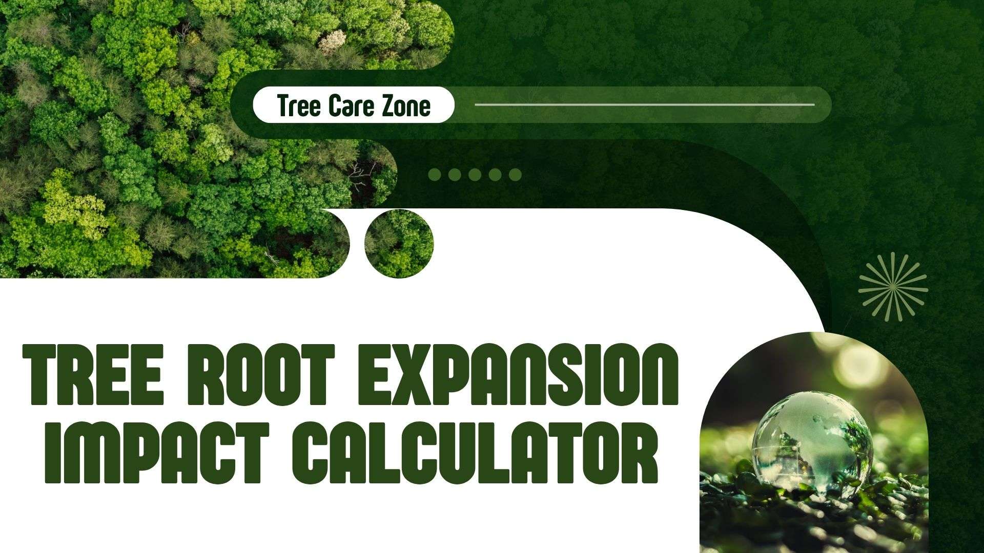 Tree Root Expansion Impact Calculator for Trees