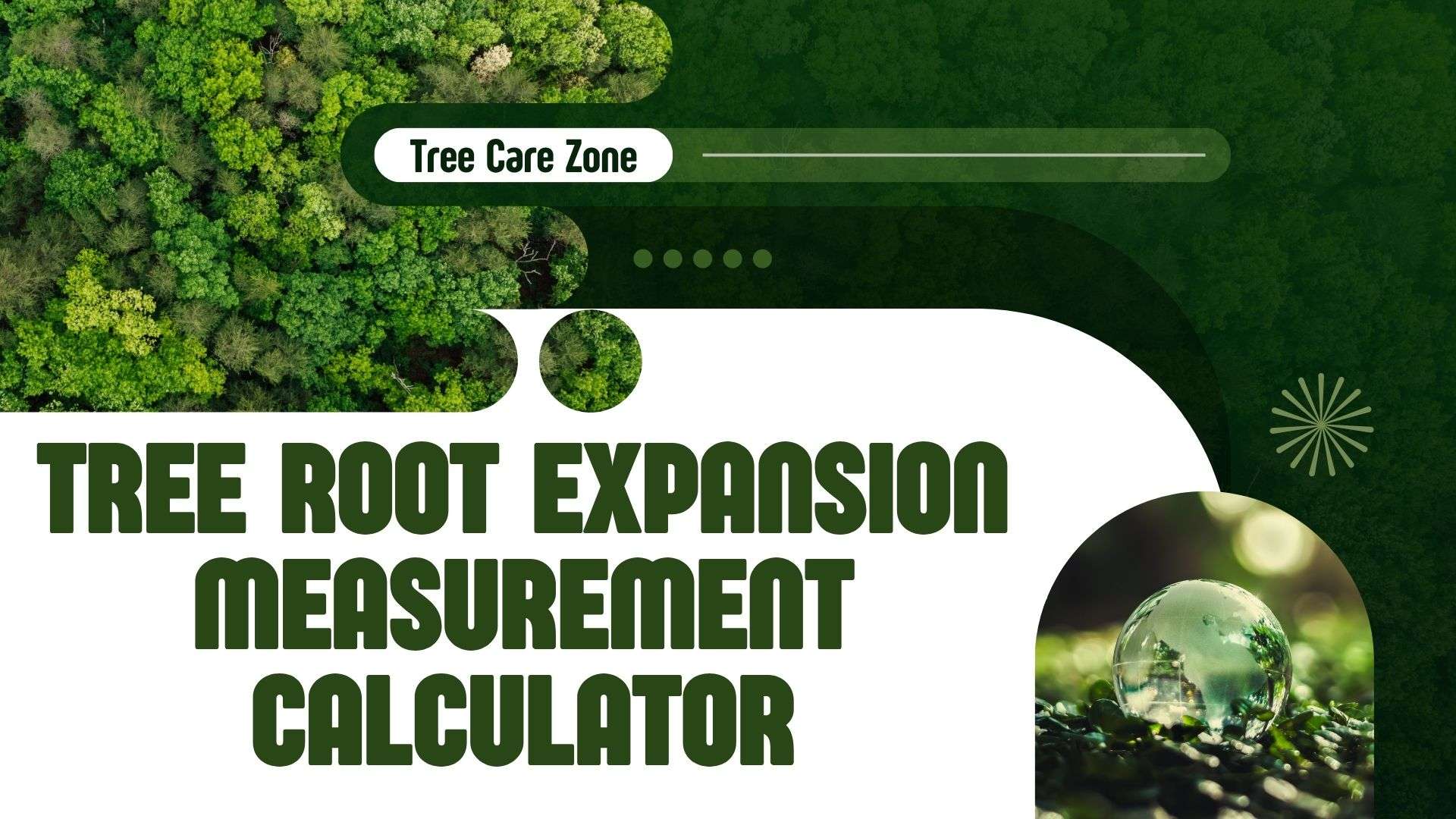 Tree Root Expansion Measurement Calculator & Tips