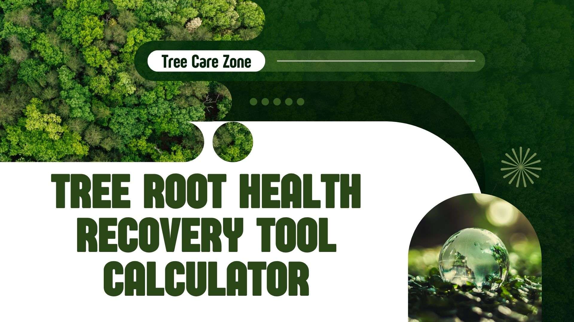 Tree Root Health Recovery Tool Calculator for Trees