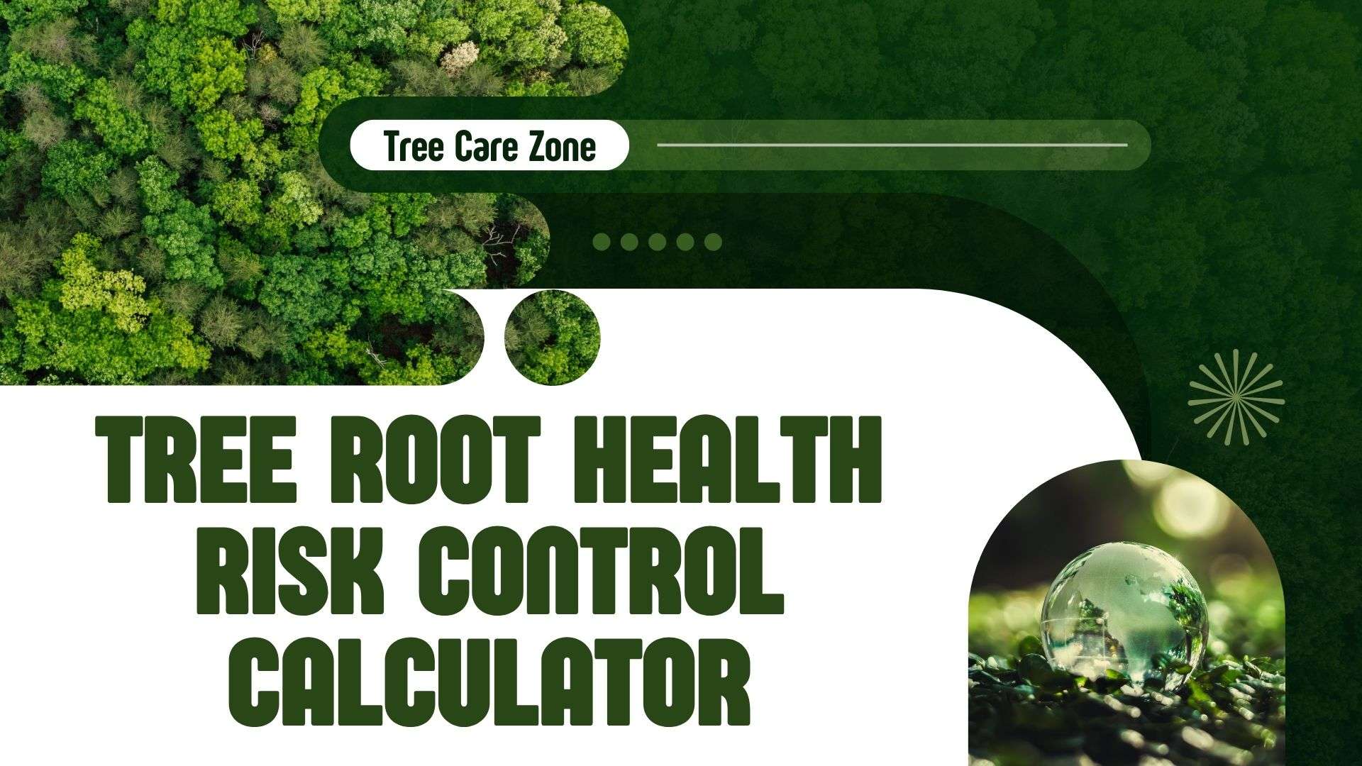 Tree Root Health Risk Control Calculator Tool