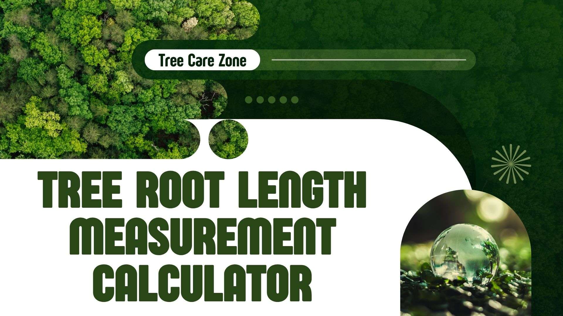 Tree Root Length Measurement Calculator Tool