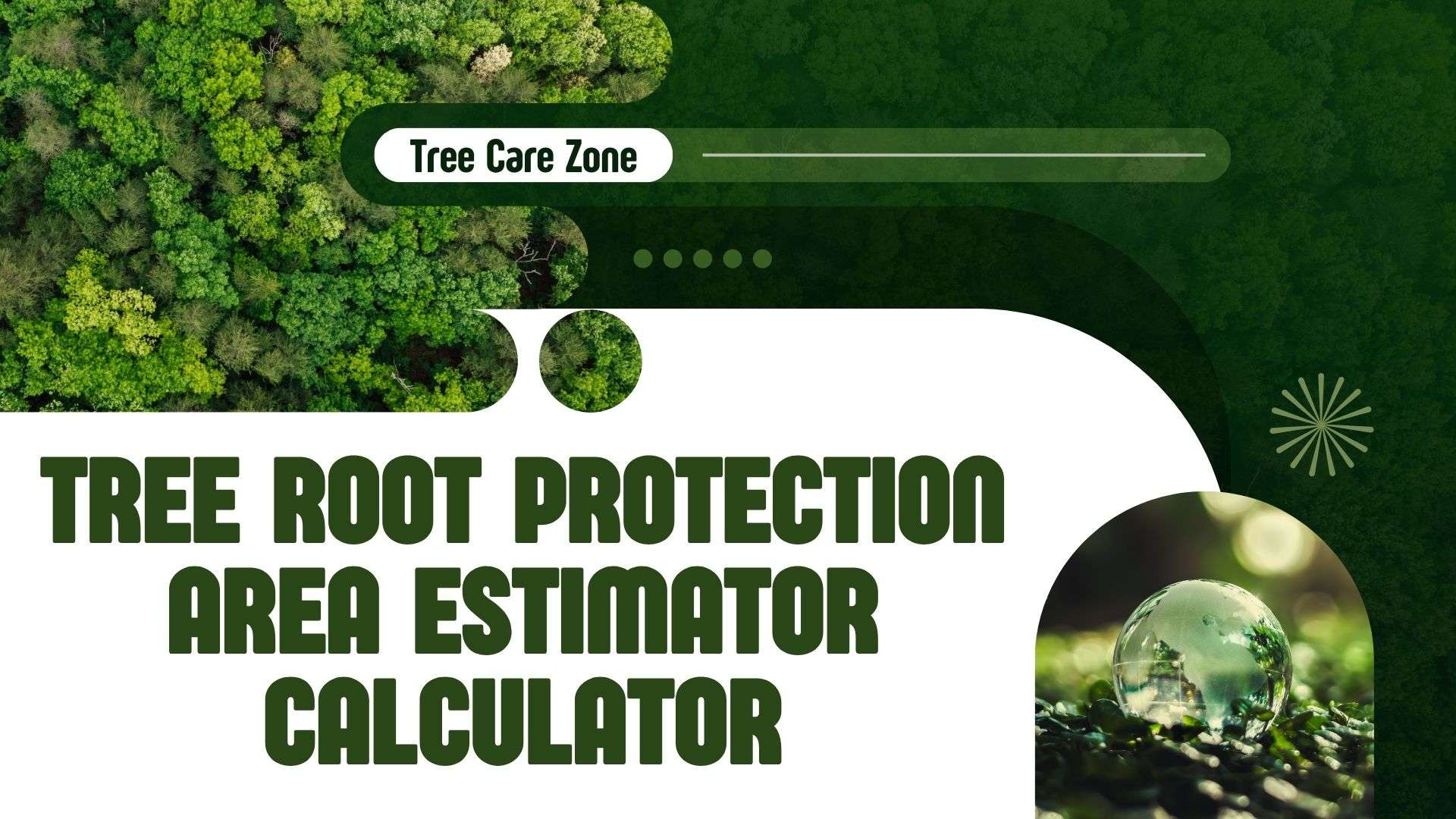 Tree Root Protection Area Estimator Calculator Tool