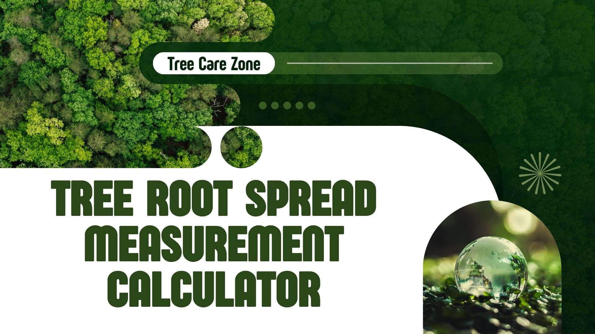 Tree Root Spread Measurement Calculator Guide