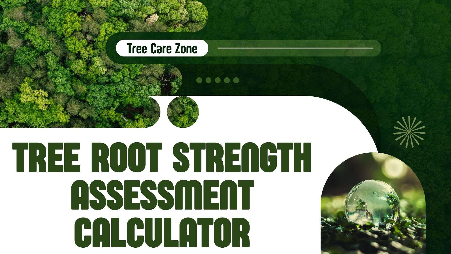 Tree Root Strength Assessment Calculator Tool