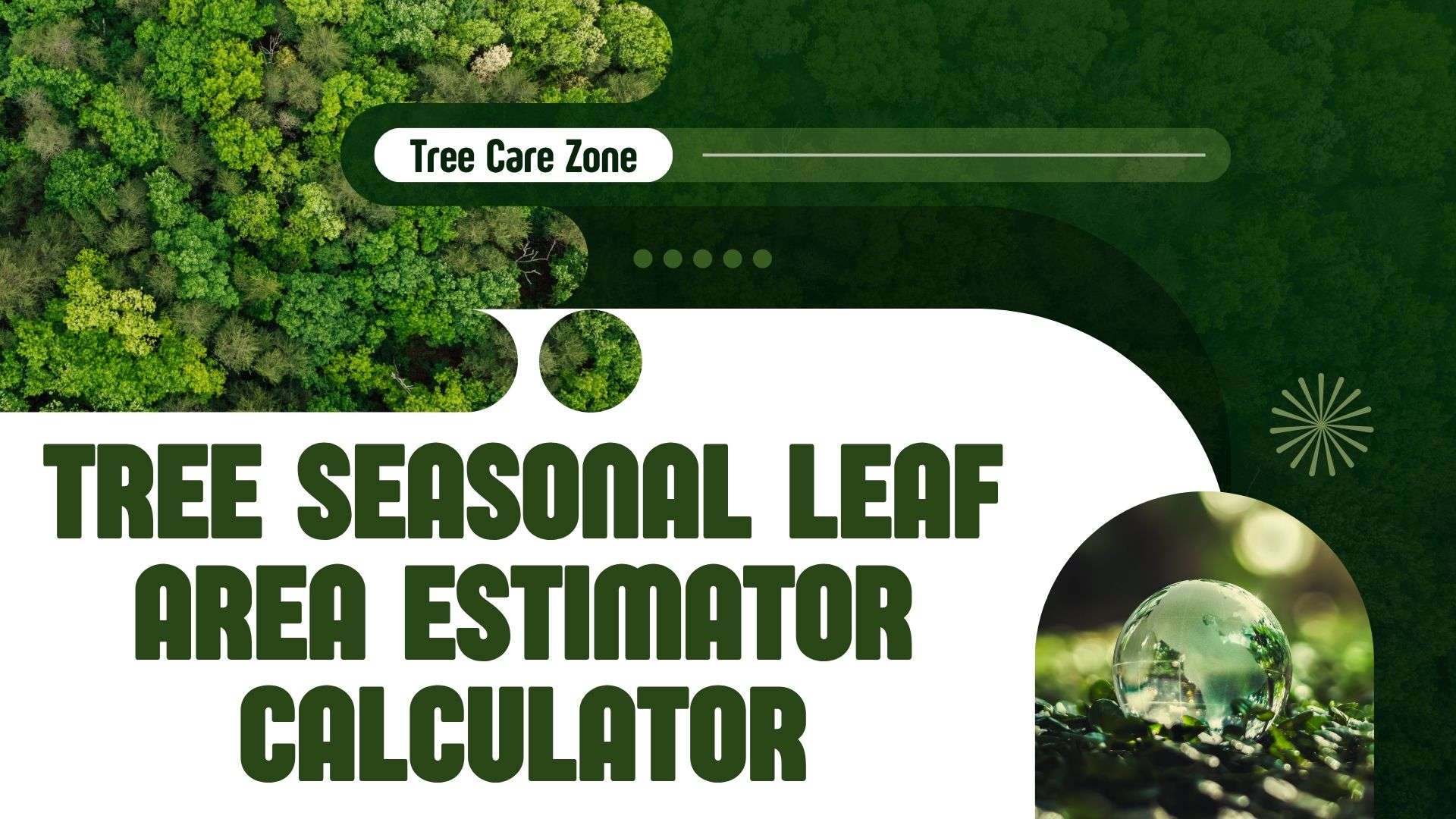 Tree Sunlight Requirement Assessment Calculator & Tree Care
