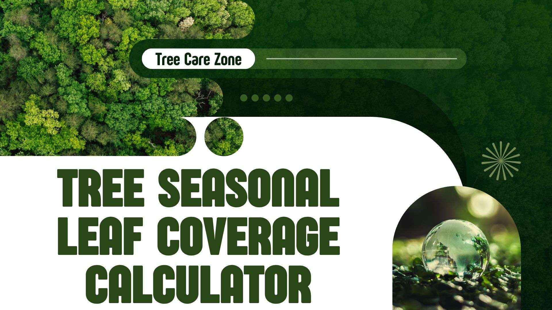 Tree Seasonal Leaf Coverage Calculator & Care Tips