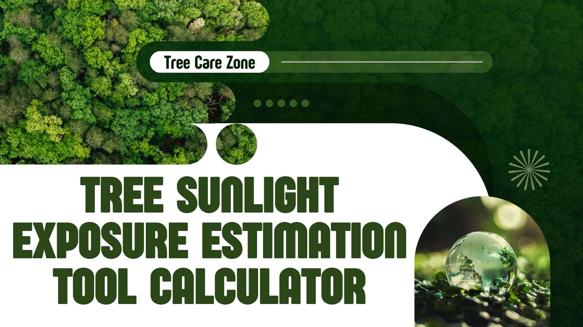 Tree Sunlight Exposure Estimation Tool Calculator And Tips