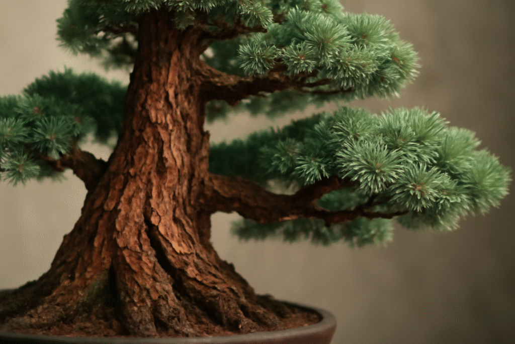 How to Grow and Care for a Bonsai Sequoia: Beginner's Guide