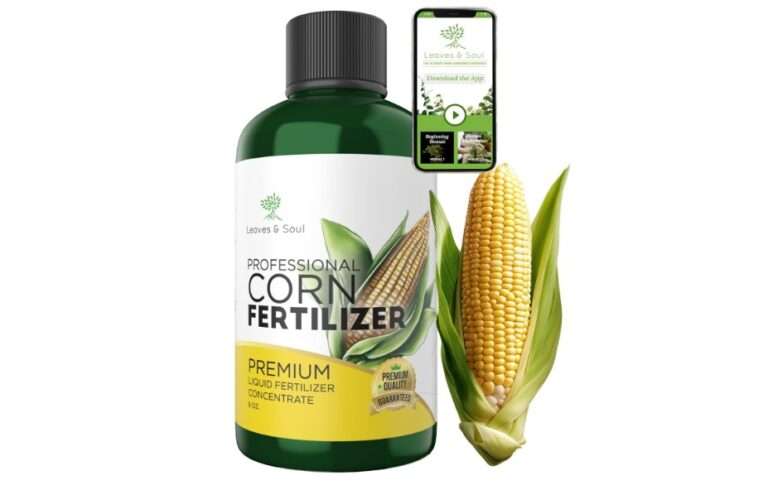 Best Corn Fertilizers for 2025: Reviews & Guide