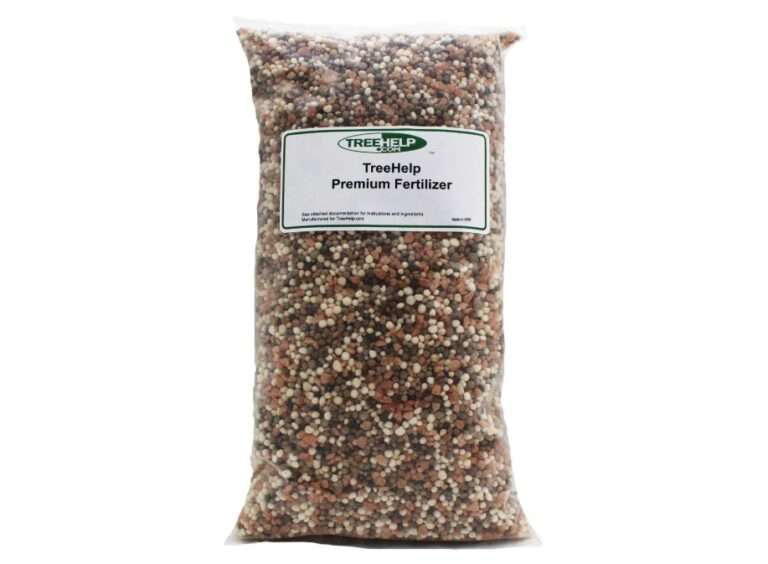 2025’s Best Fertilizer for Maple Trees: Top Picks