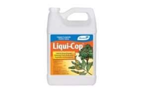 Best Spray for Citrus Trees - Top 10 Picks for 2025