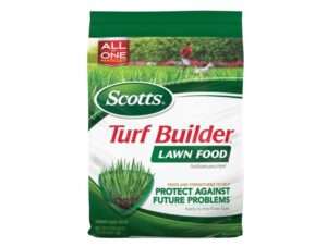 2025’s Best Fertilizer for Maple Trees: Top Picks