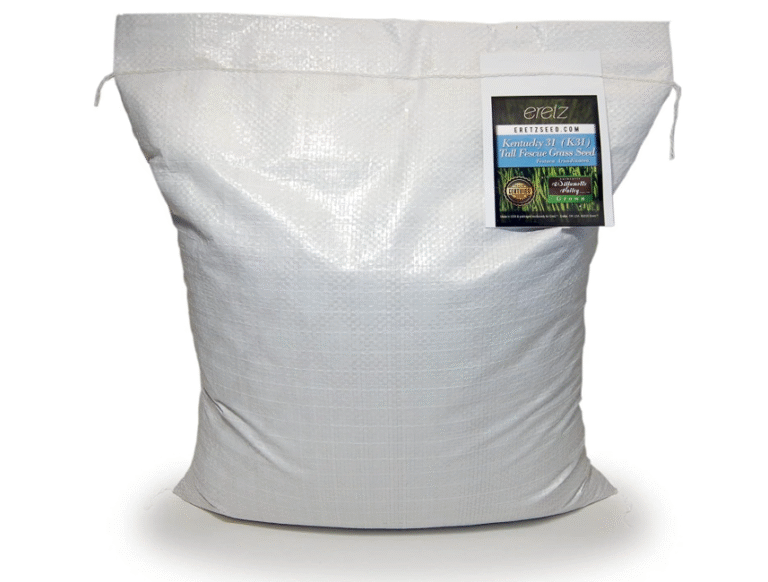 Best Grass Seed for Missouri: Top 10 Picks for 2025