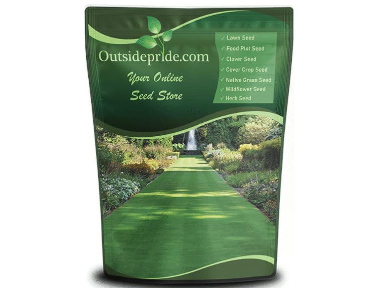 Best Grass Seed for Missouri: Top 10 Picks for 2025