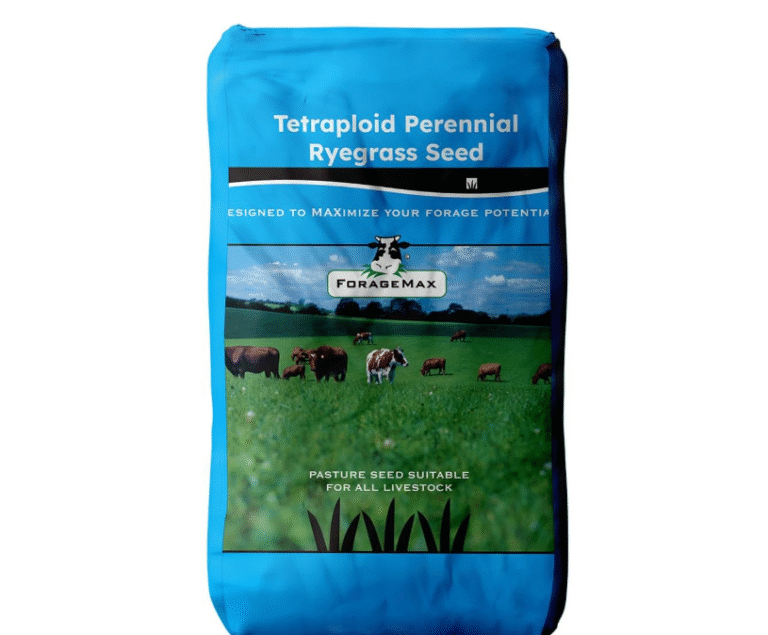Best Grass Seed for Missouri: Top 10 Picks for 2025