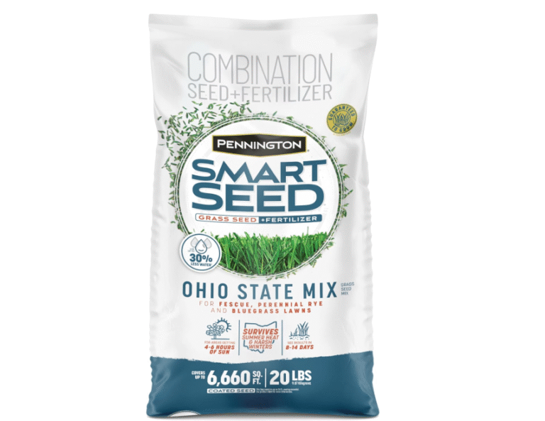 Best 10 Grass Seed for Ohio Lawns 2025: Top Picks