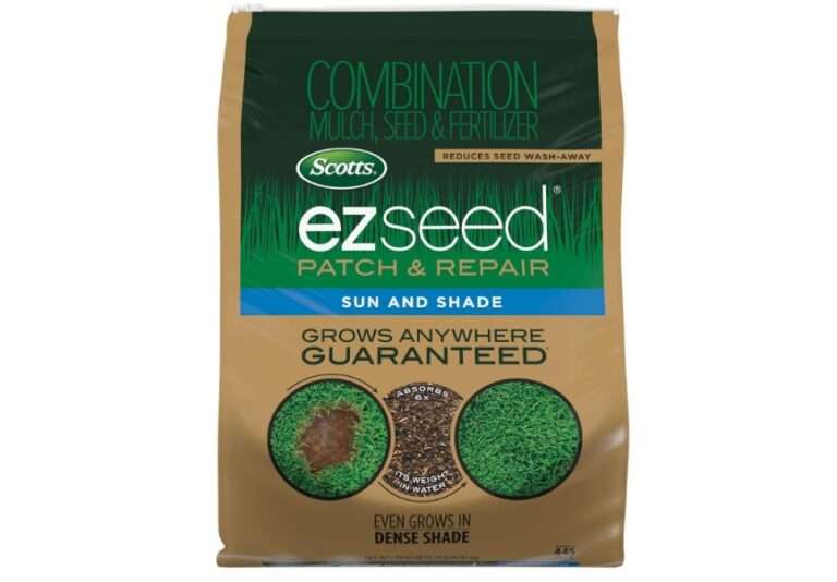 Best Grass Seed for Michigan: Top 10 Picks for 2025