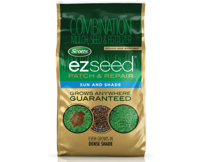 Top 10 Best Liquid Grass Seed Picks for 2025 Lawns