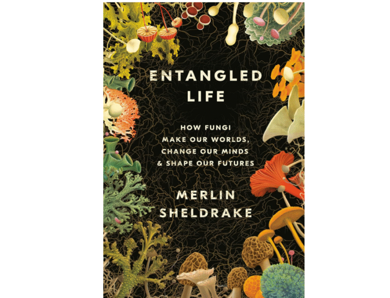 Top 10 Best Books About Trees for 2025: Reviews & Guide
