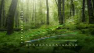 How to Use a Tree Caliper for Tree Growth & Health