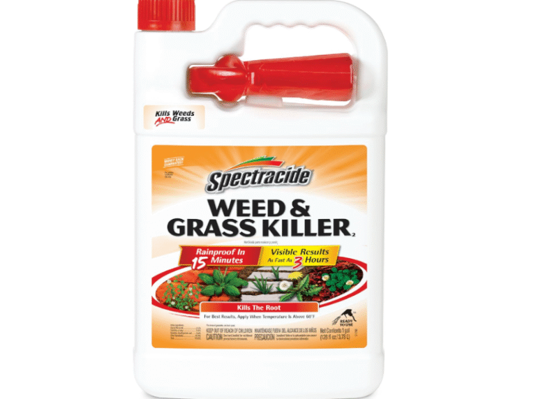 Best Weed Killer Around Trees: Top 10 Safe Picks 2025