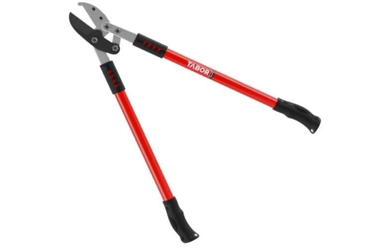 Top 10 Best Palm Tree Trimming Tools & Saws 2025